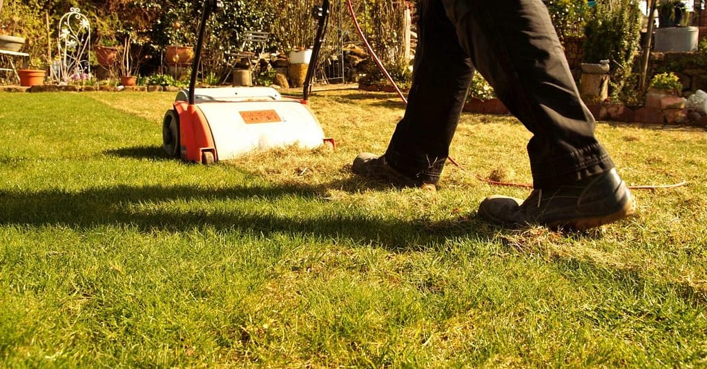 Thatch Removal: What It Is and Why Your Lawn Needs It - Cedar Lawn Care SG